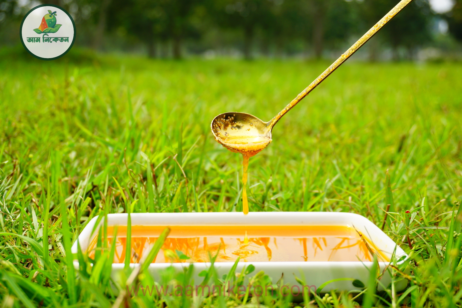 দেশী গরুর দুধের দানাদার গাওয়া ঘি | আম নিকেতন