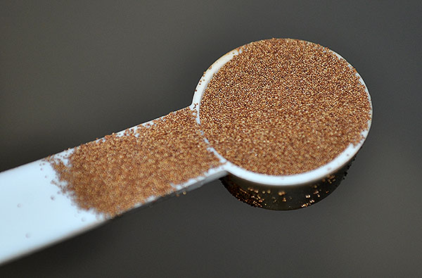Live Food brine shrimp egg ( 20 grm) | Dr.aqua