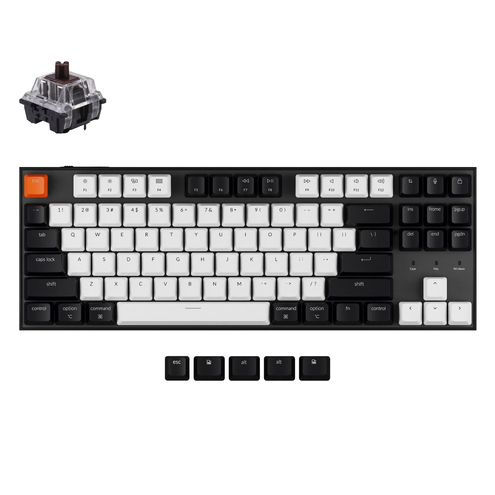 (Stock Out) Keychron C1 TKL Wired Mechanical Keyboard | DopeTech