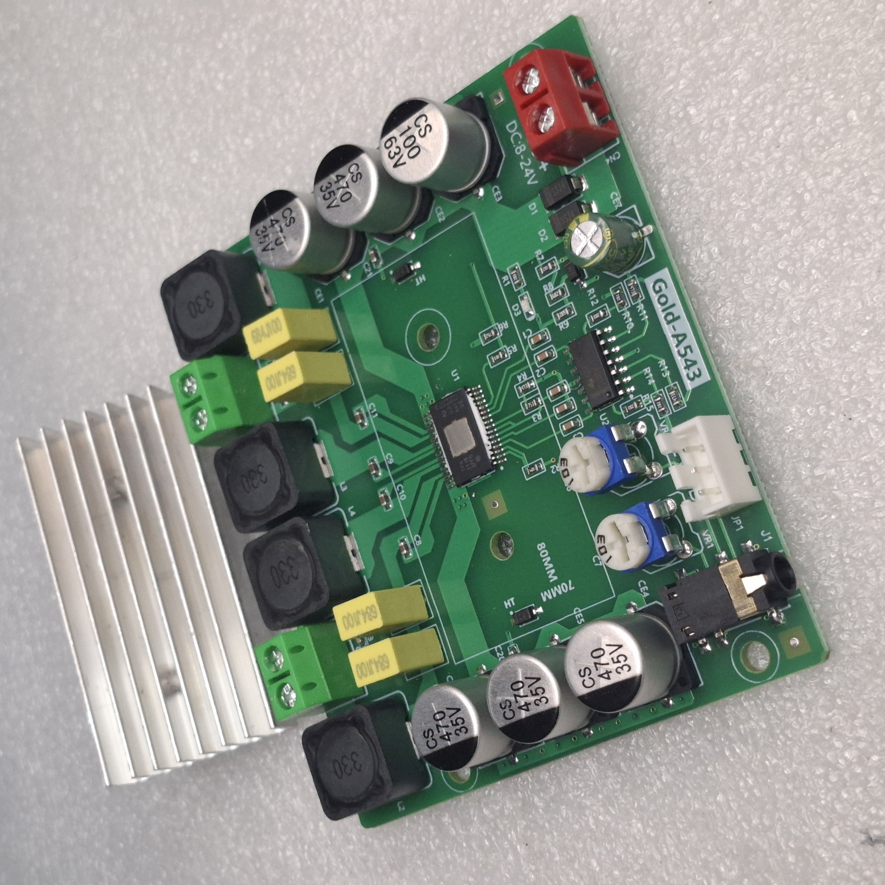 Gold-A543 TPA3116D2 Stereo Audio Amplifier | Real Electronics